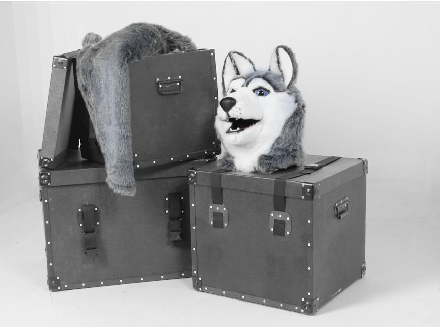 Mascot Carrying Cases – MARYLEN MASCOT COSTUMES